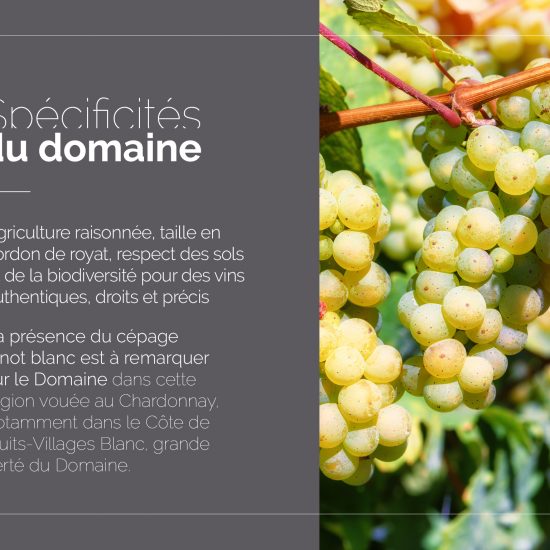 Infos Pratiques • Domaine Desertaux-Ferrand
